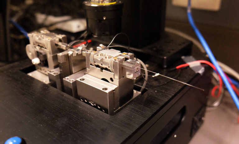 Perth Researchers Developed the World's Smallest Microscope | Particle