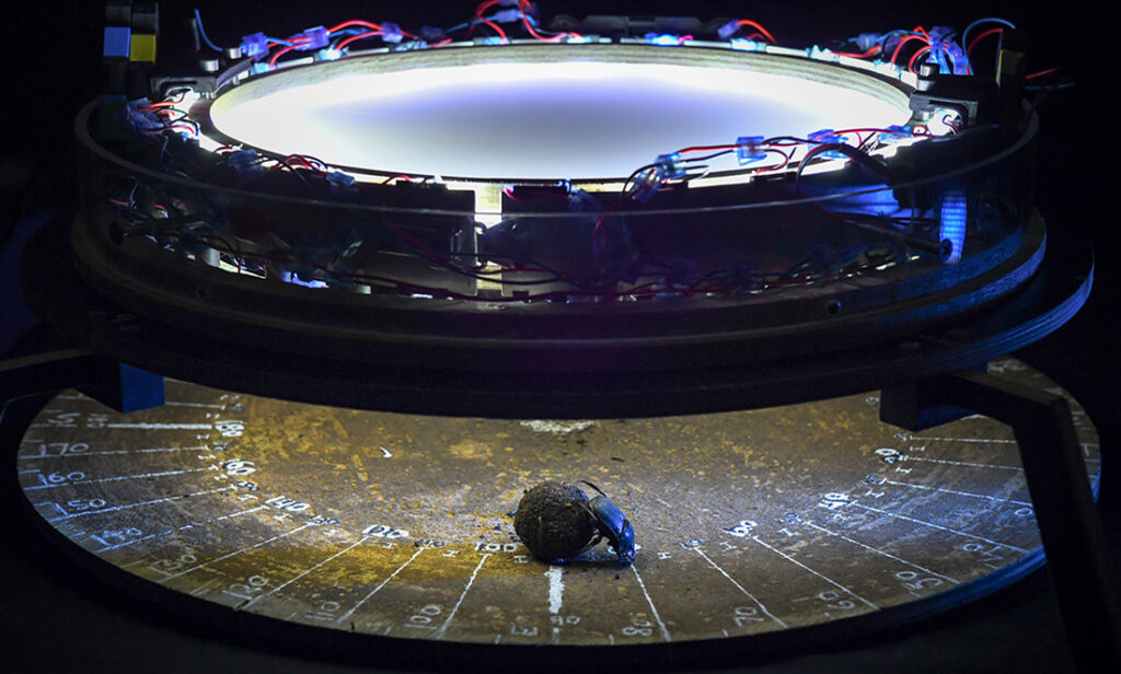 Esports and the Growing World of Competitive Gaming | Particle