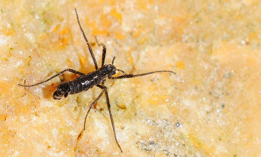 The Science Behind Cryonics and Preserving Corpses | Particle