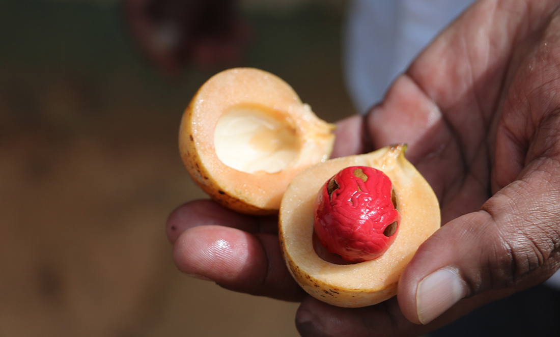 Household Items With Harmful Effects on Your Health | Particle