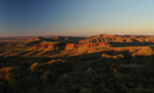 The Secret Life of the Pilbara Olive Python | Particle