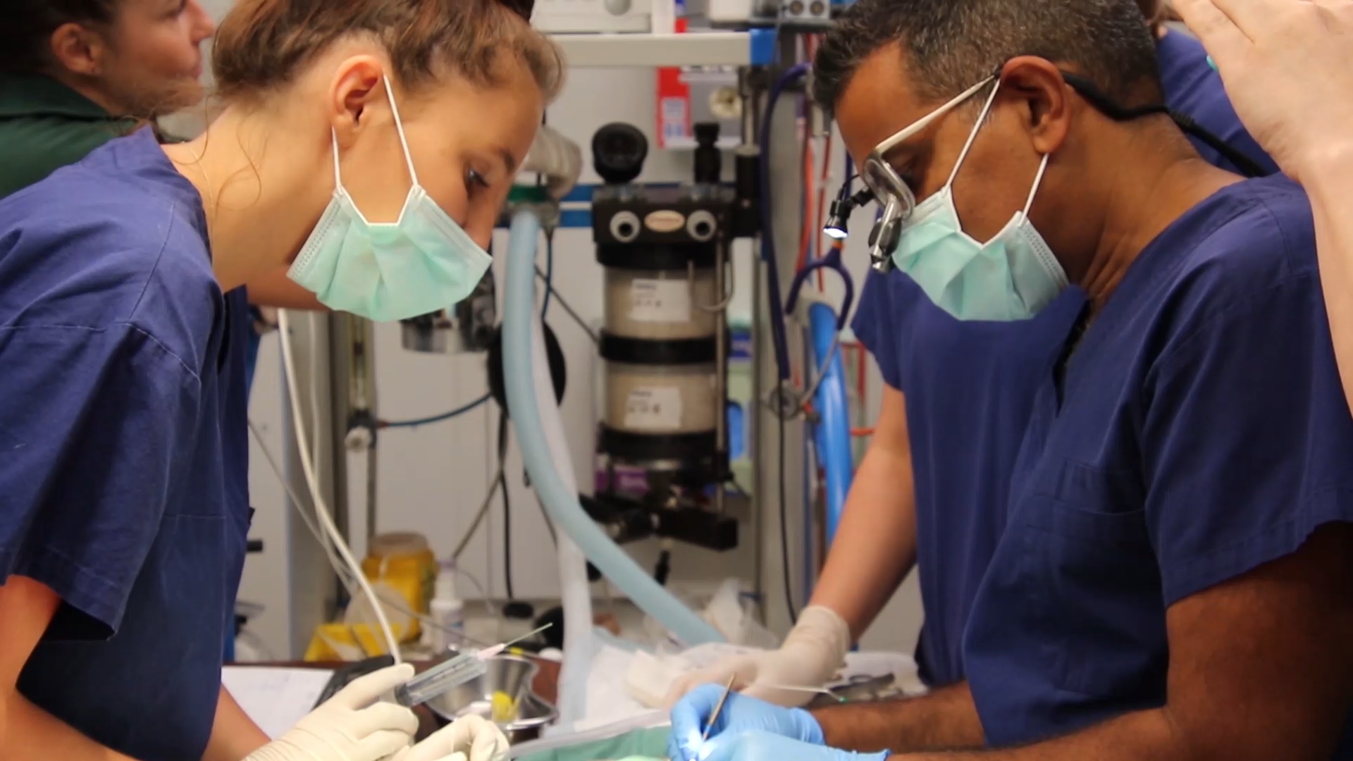 Ear, Nose, Throat ... and Lemur specialist? | Particle