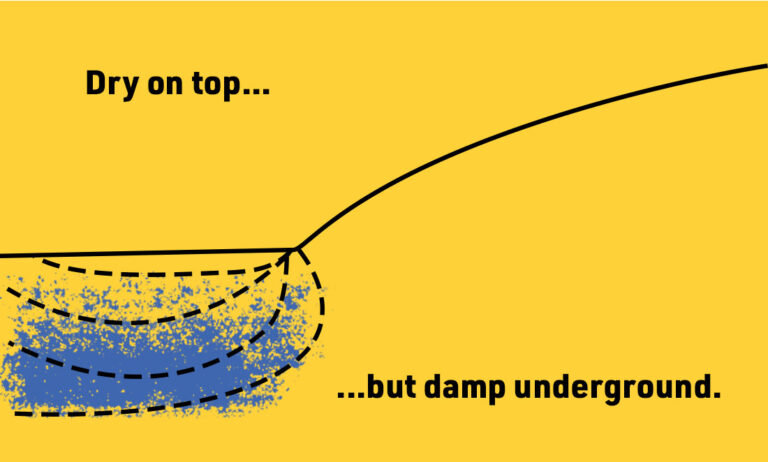 Why is Wave Rock shaped like a wave? - Environment news | Particle