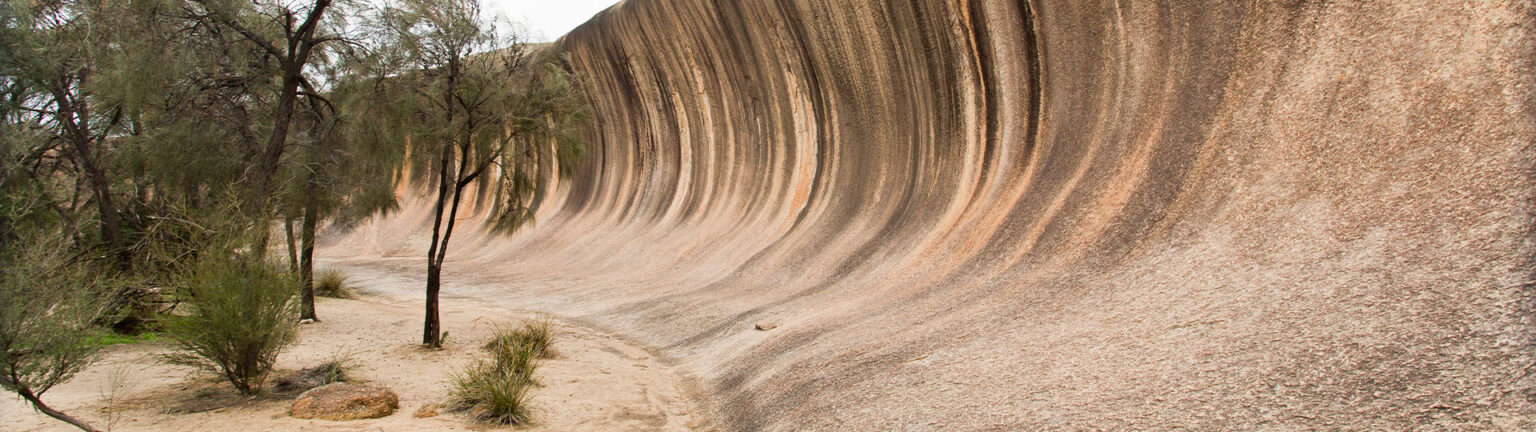 Why is Wave Rock shaped like a wave? - Environment news | Particle