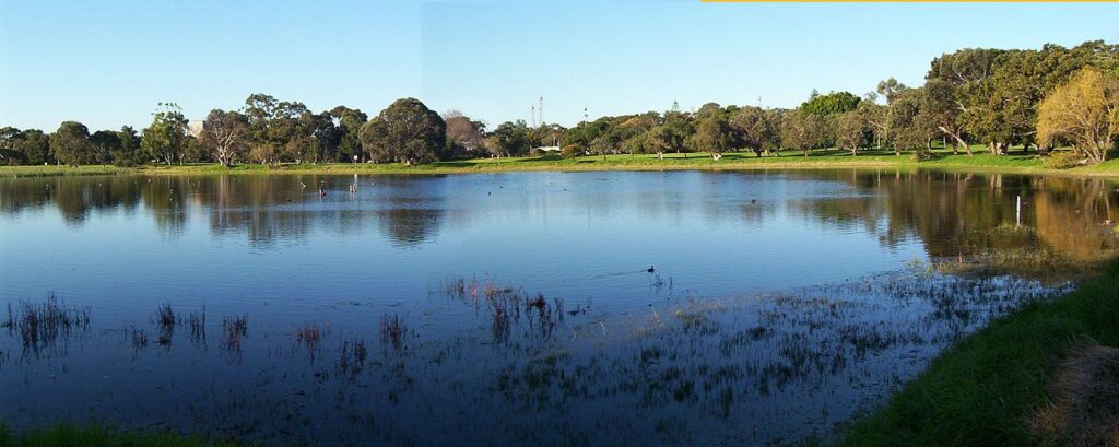 Perth 2.0: Creating a greener city - Environment News | Particle