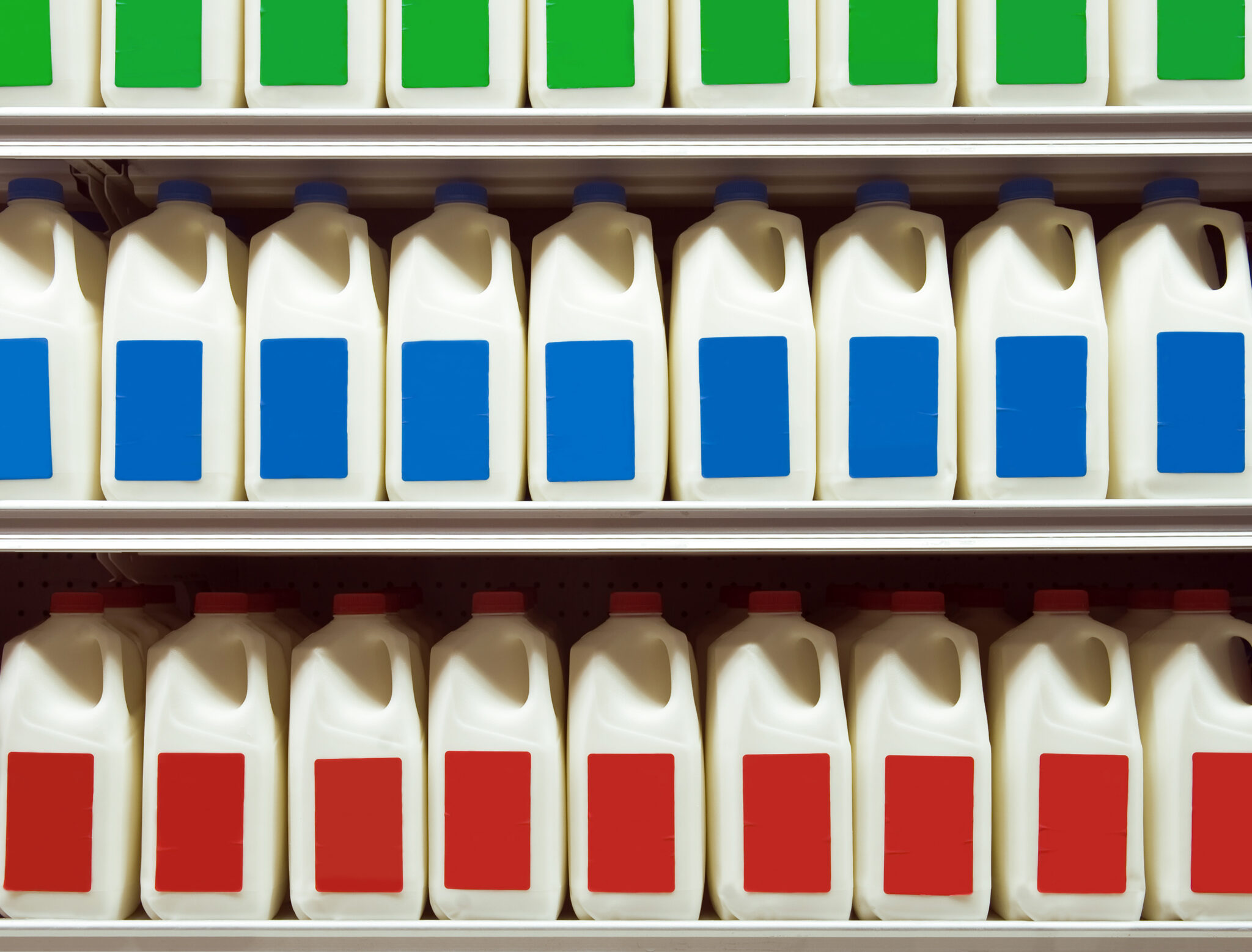 Meet the youlk: your new favourite Noongar veggie - Earth News | Particle