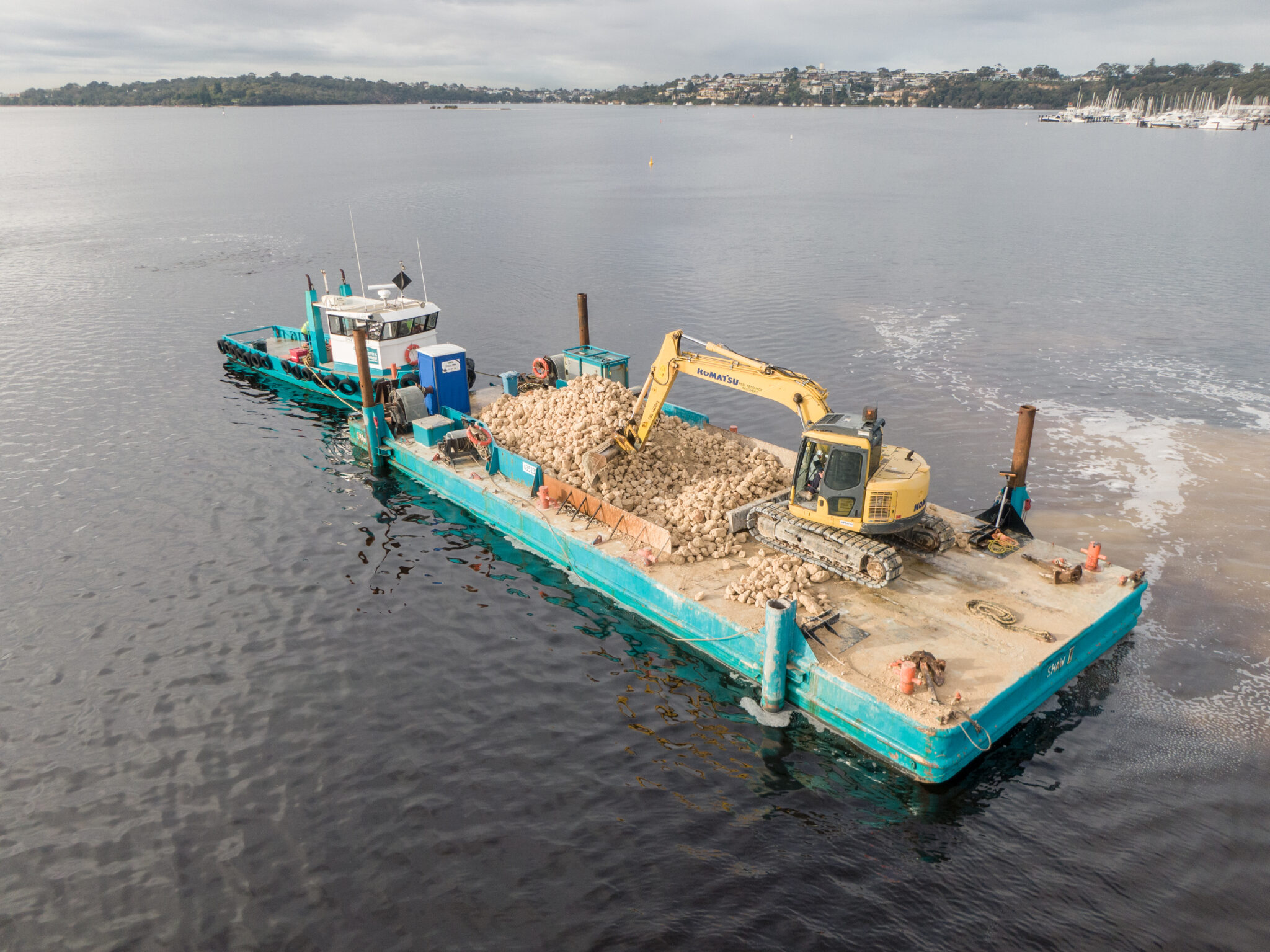 Can mussel power save the Swan River? – Earth News | Particle