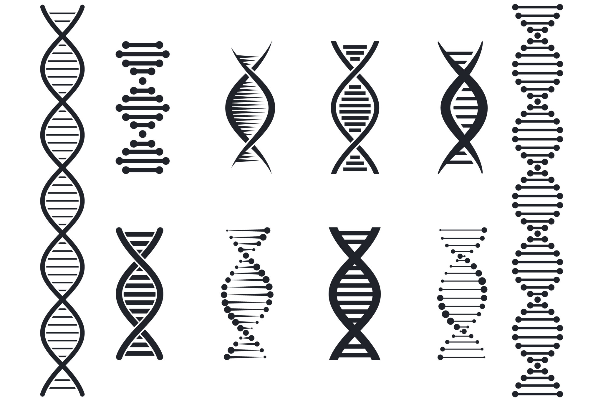 Particle 101: DNA – Health News | Particle