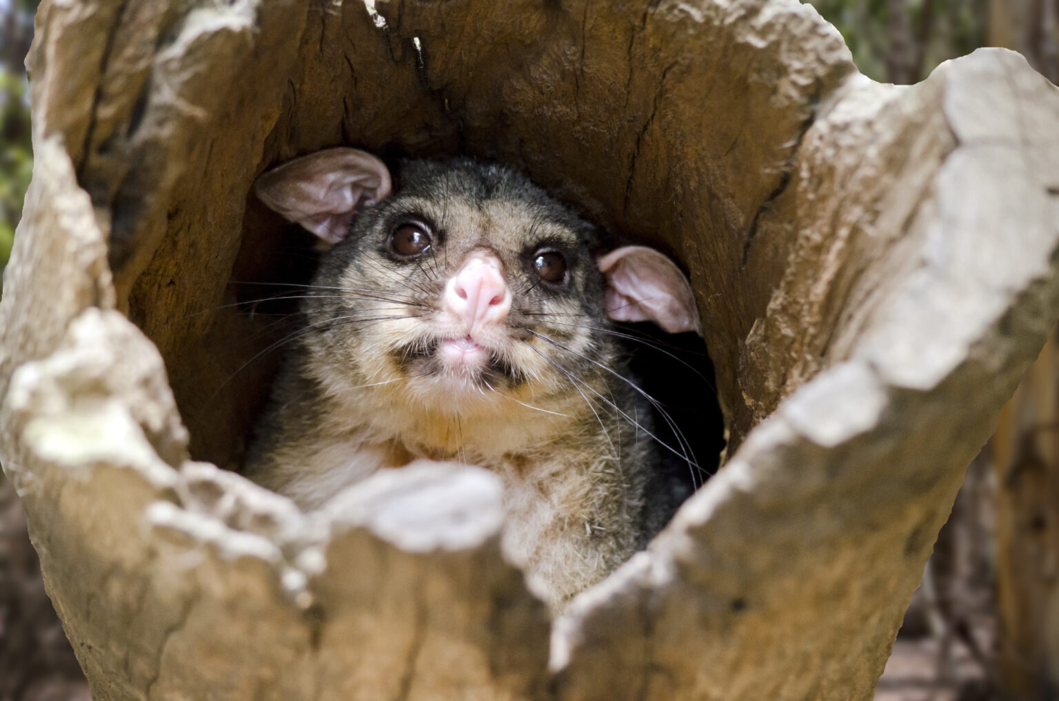 WA science. Done different. | Particle