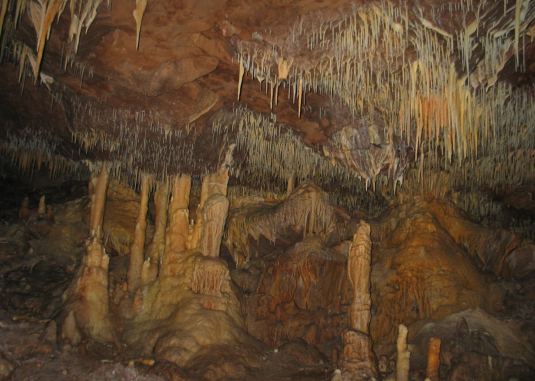 A worrisome drop in WA groundwater recharge – Environment News | Particle