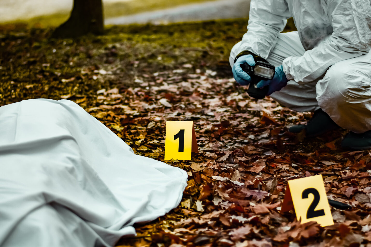 WA science. Done different. | Particle