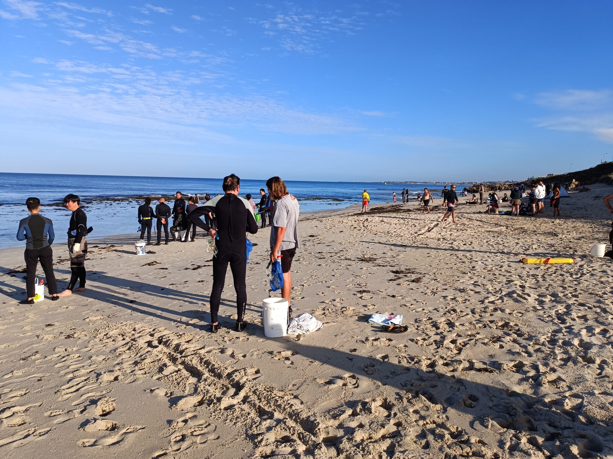 All Go For Roe's Abalone Fishing Season — Environment News | Particle