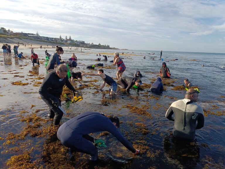 Why people hate maths and how to fix it – Particle