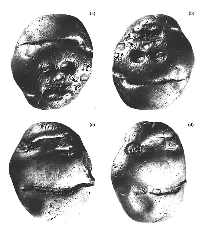WA science. Done different. | Particle