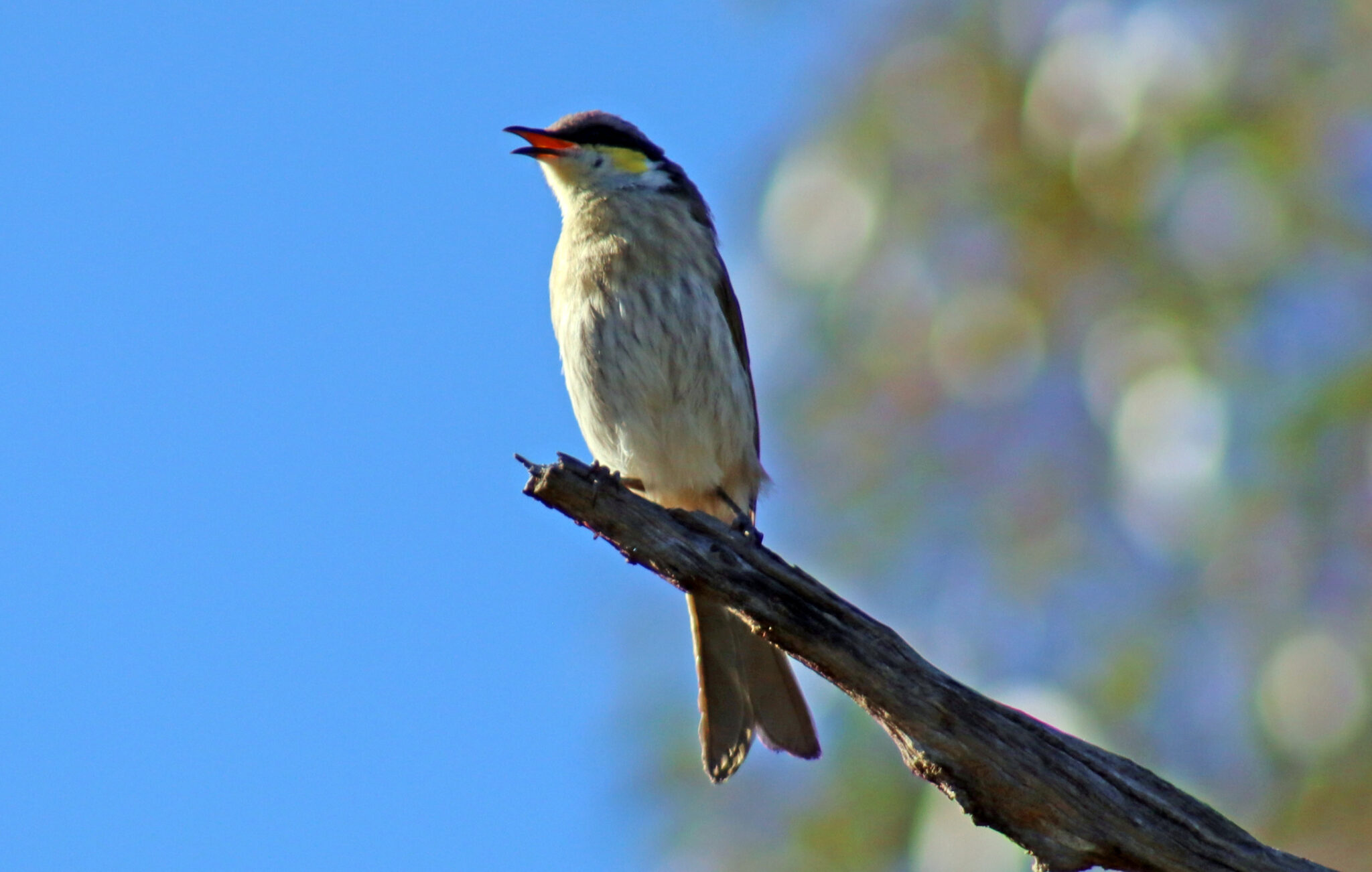WA science. Done different. | Particle