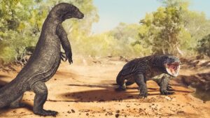 THE MEGAFAUNA MYSTERY | Particle