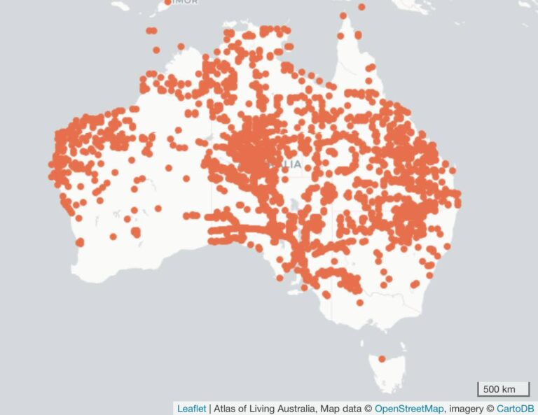 THE BATTLE AGAINST BUFFEL GRASS | Particle