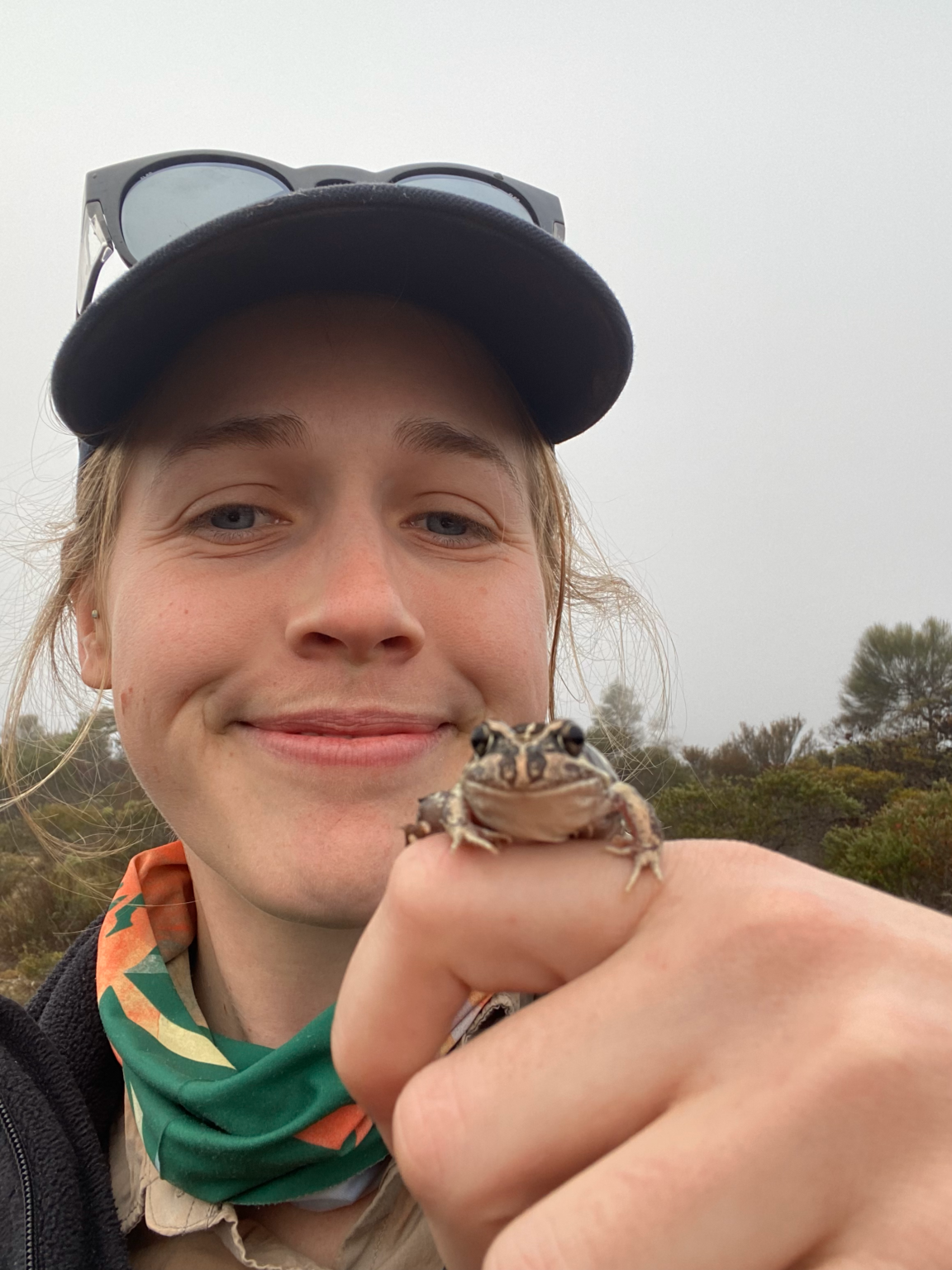 Particle 101: Dunnarts | Particle