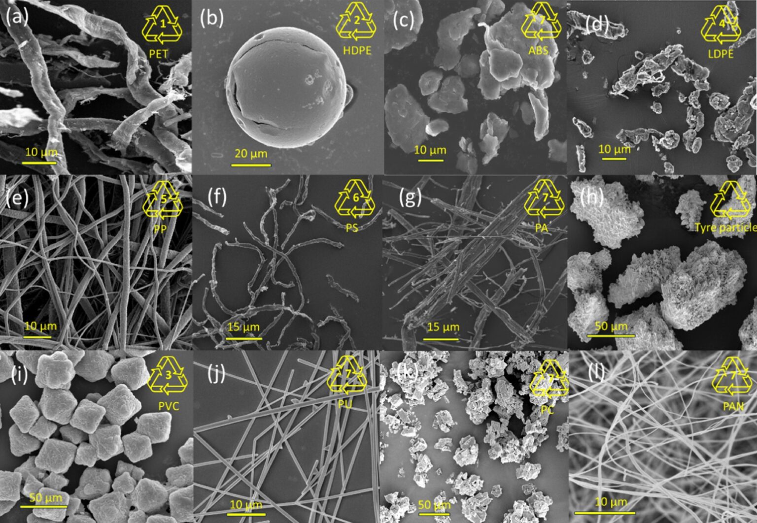 Microplastics are here, there and everywhere | Particle