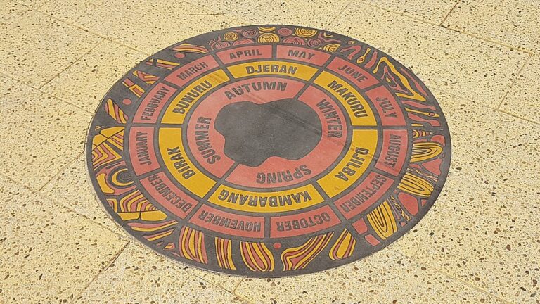 Particle 101: Lichens | Particle