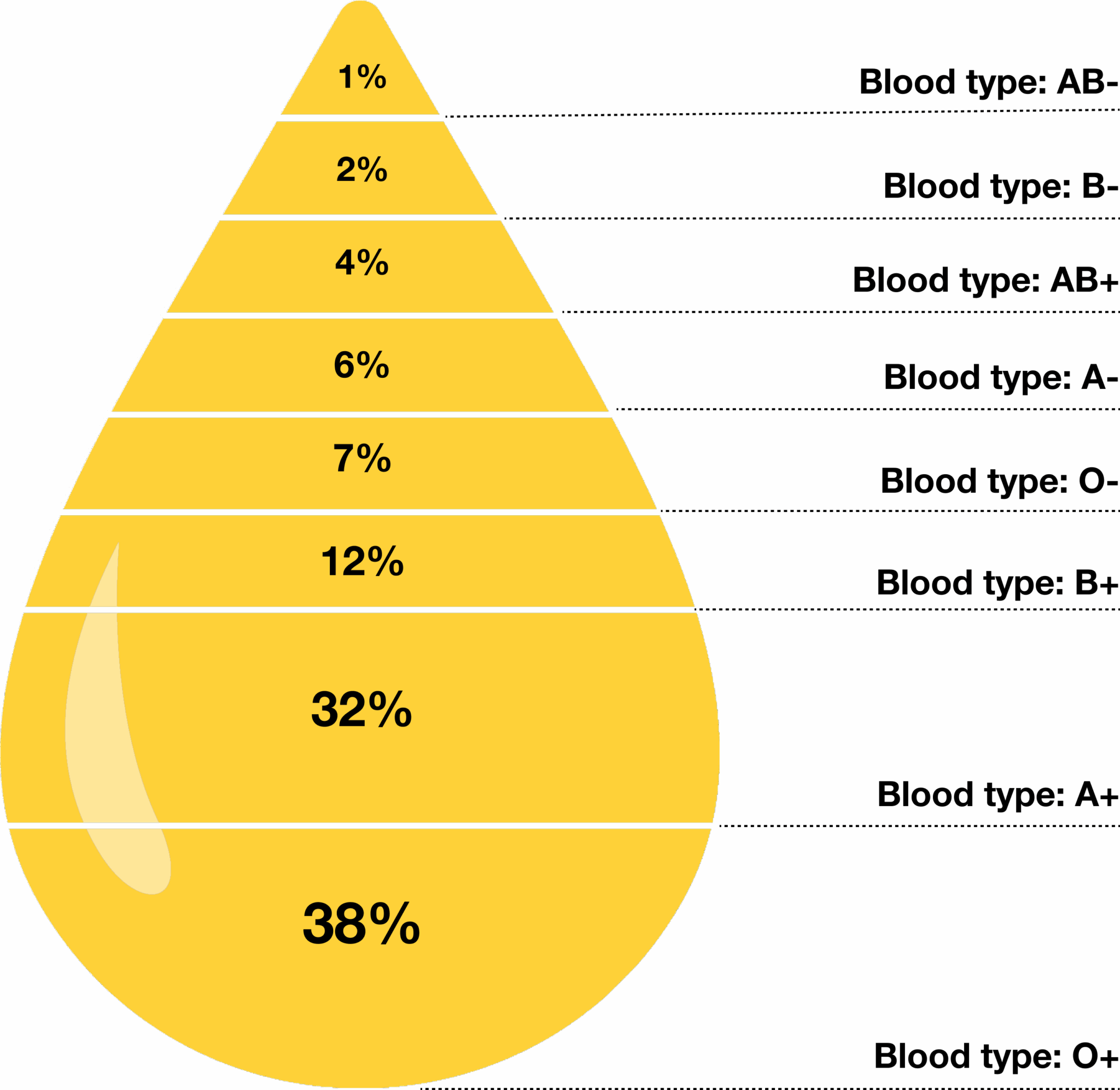 PARTICLE 101: BLOOD TYPES | Particle