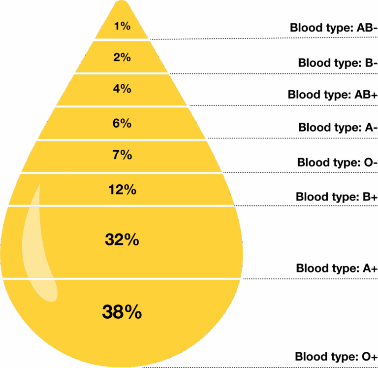 PARTICLE 101: BLOOD TYPES | Particle